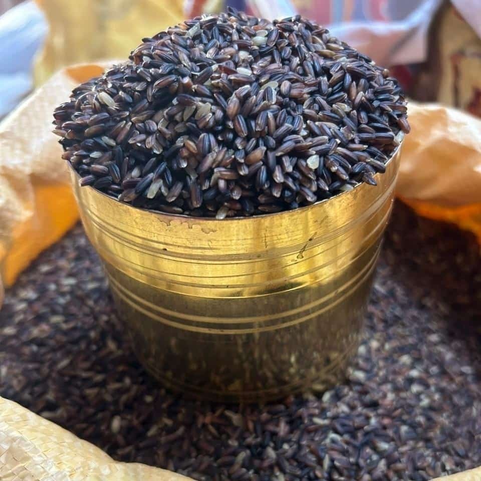 Buy Karuppu Kavuni - explore more Organic Red & Black Rice varieties
